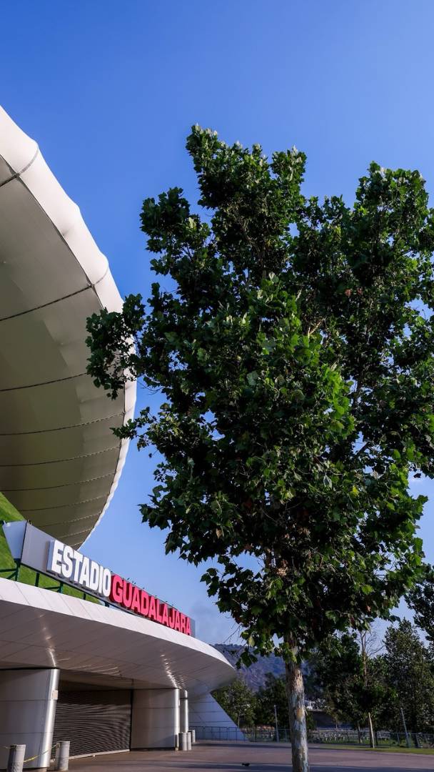 The Benito Juárez Auditorium will also host a free Fan Fest for the ...
