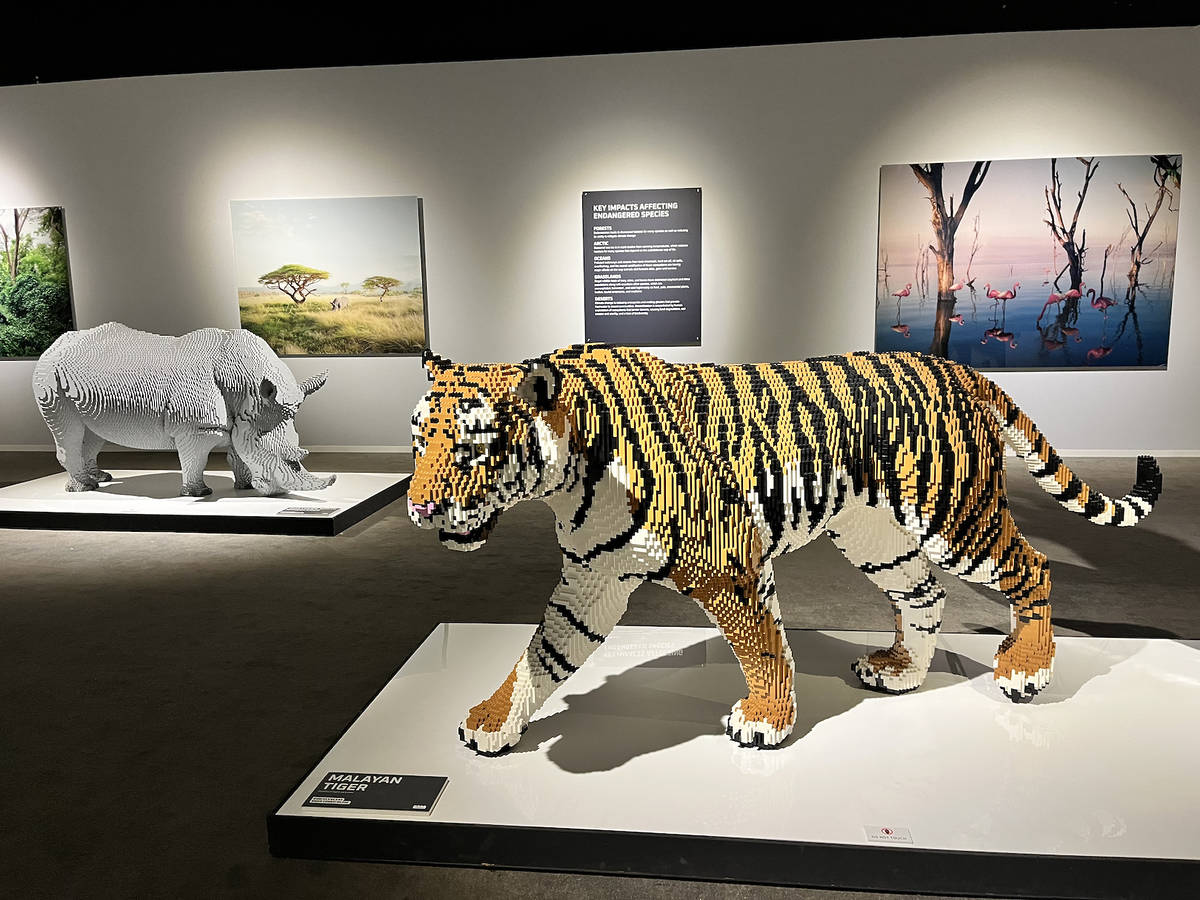 It's Your Last Chance To Visit This Epic LEGO® Exhibition In Leeds