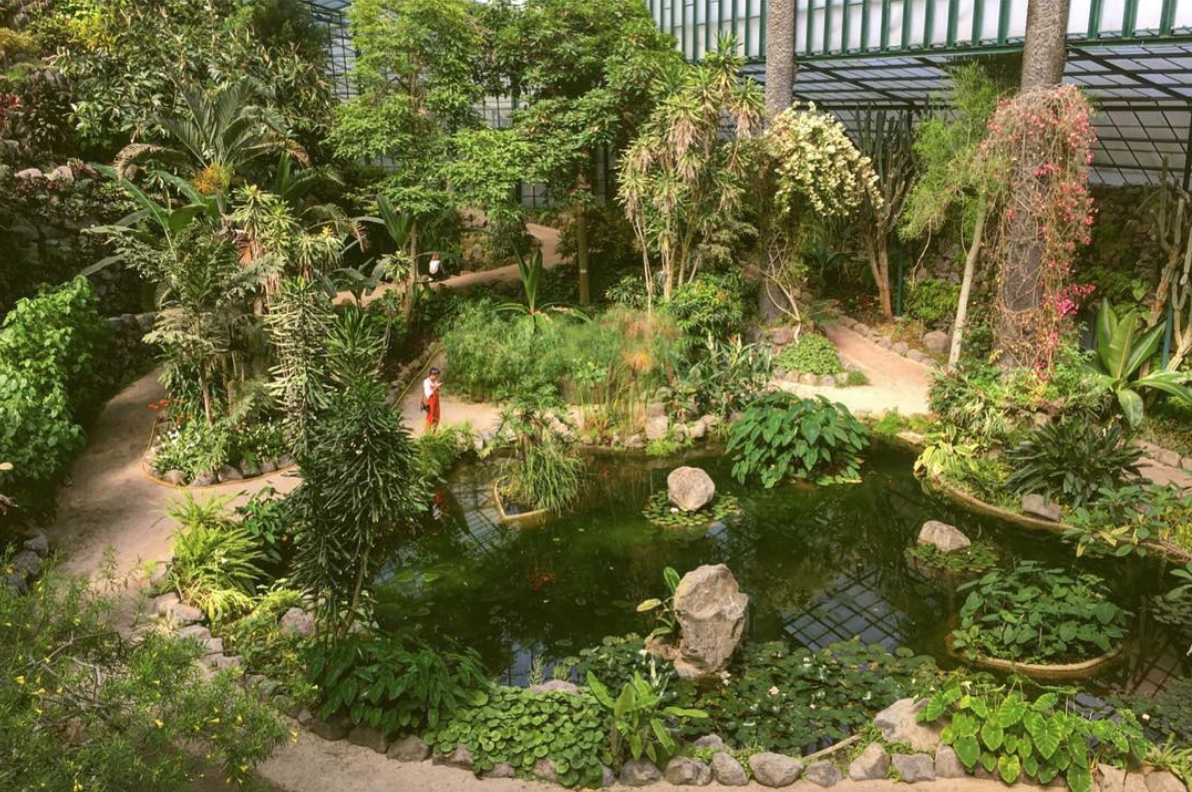 Estufa Fria, Estufa Quente e Estufa Doce - Lisboa Secreta