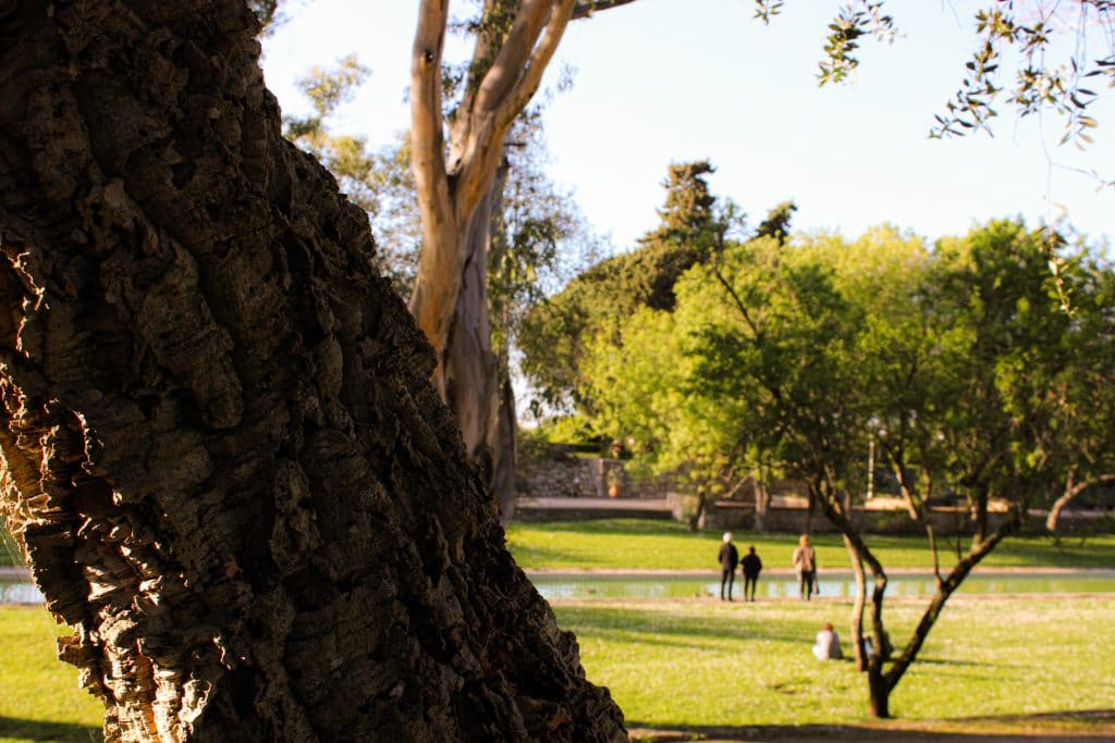 Parque Florestal de Monsanto: 5 bons pretextos para o visitar