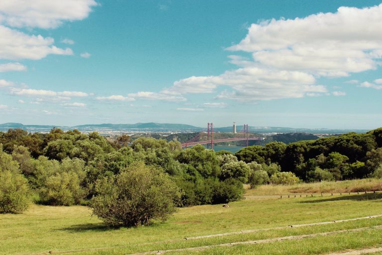 Parques em Lisboa: o guia essencial para os amantes da natureza