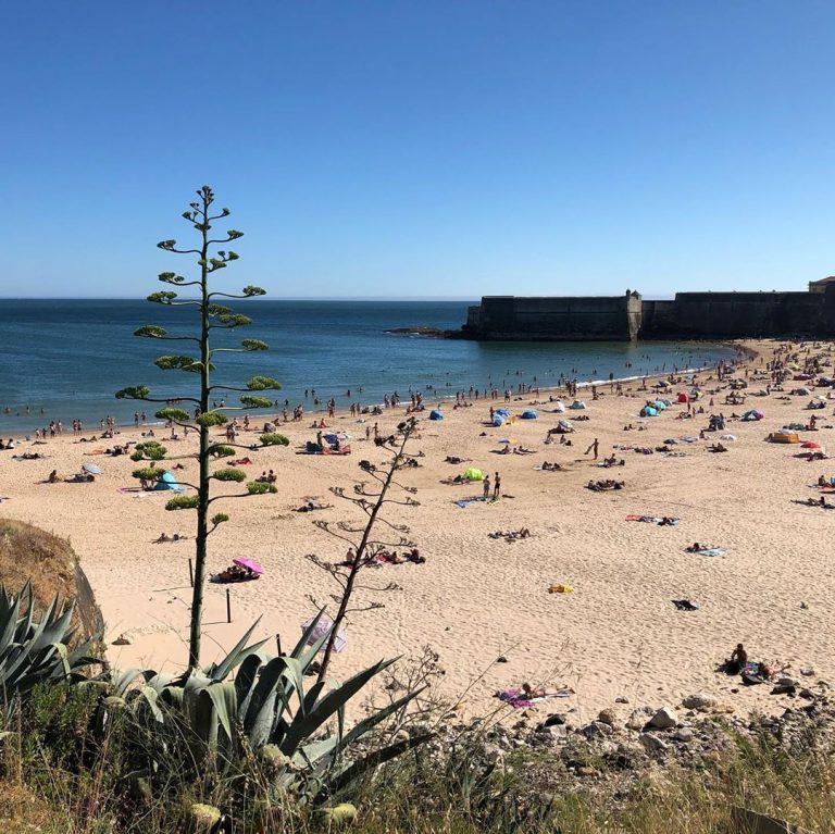 Praias da Linha de Cascais: uma viagem pelas mais incríveis