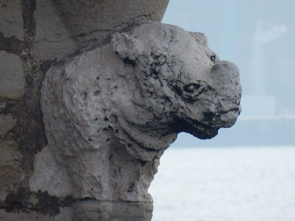 A história do Rinoceronte de Lisboa