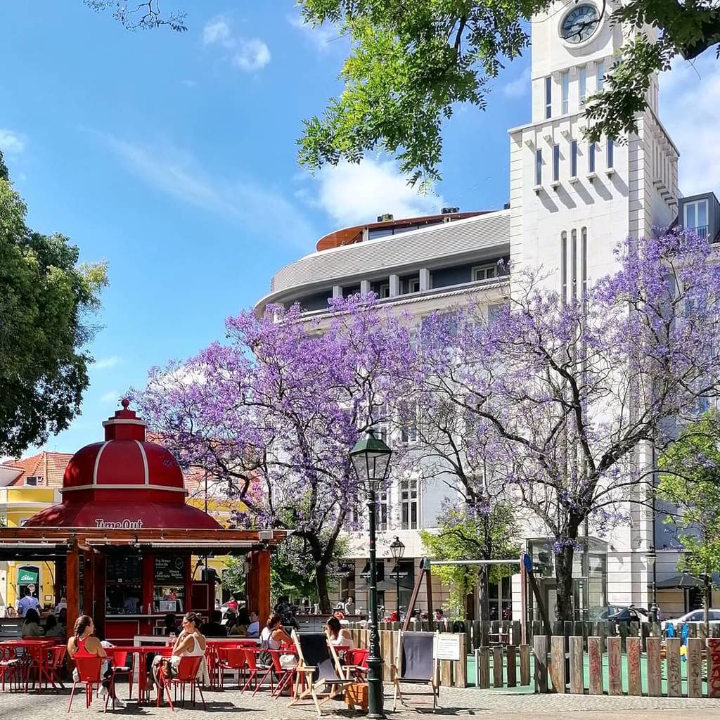 Jacarandas In Lisbon: Here They Sprout With All Their Might