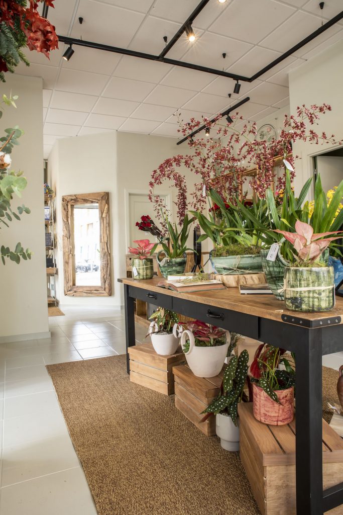 A Florista é um lugar onde as flores, e os seus clientes, são a ...