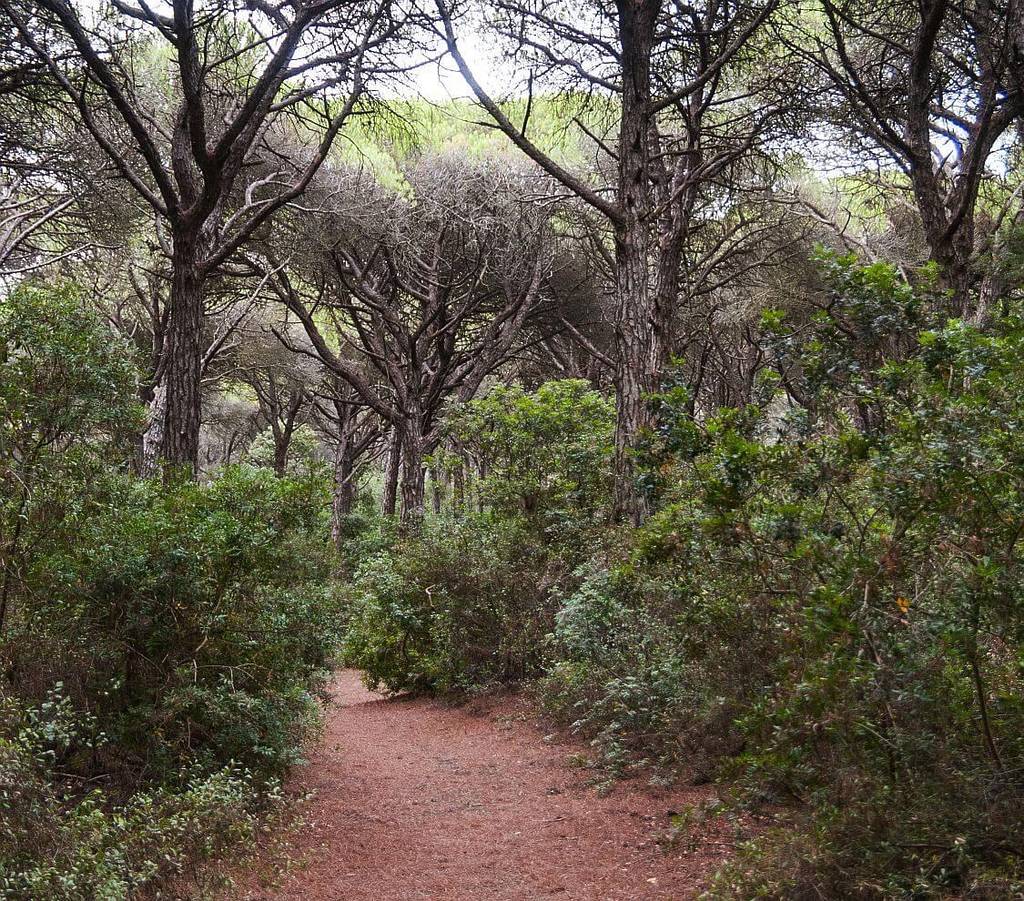 Almada: the south bank has more to offer than you think