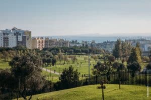 Parques em Lisboa: o guia essencial para os amantes da natureza