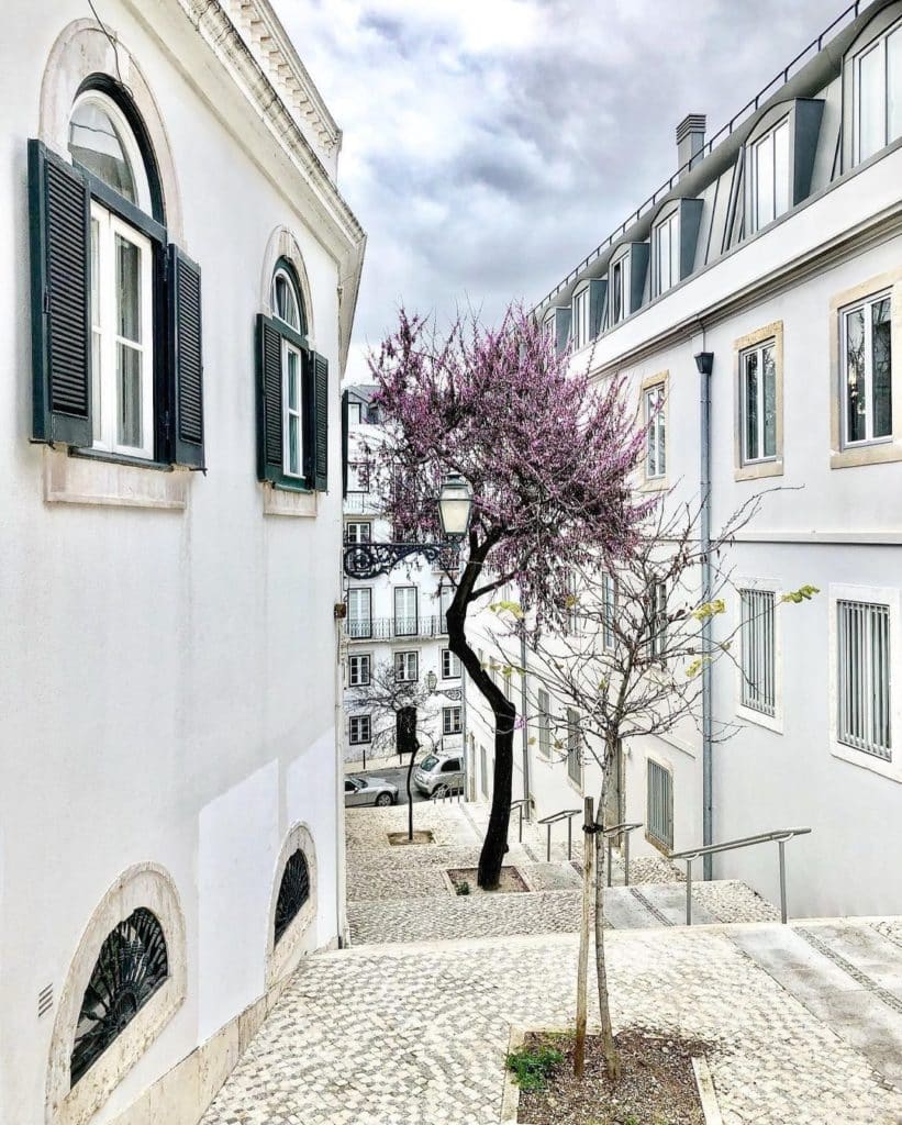 Príncipe Real: The Most Incredible Places In This Lisbon Neighborhood