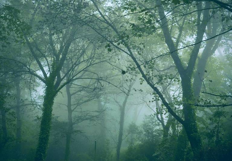 Caminhada de Halloween desvenda os mistérios de Sintra