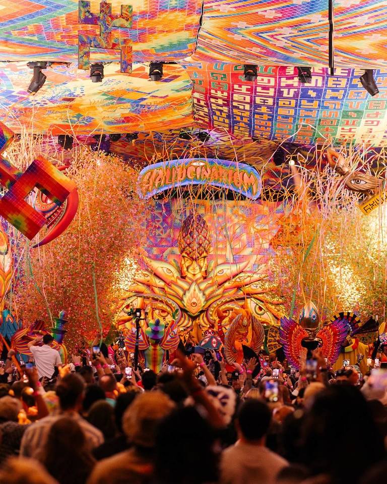 Carnival plans that promise to entertain you like never before