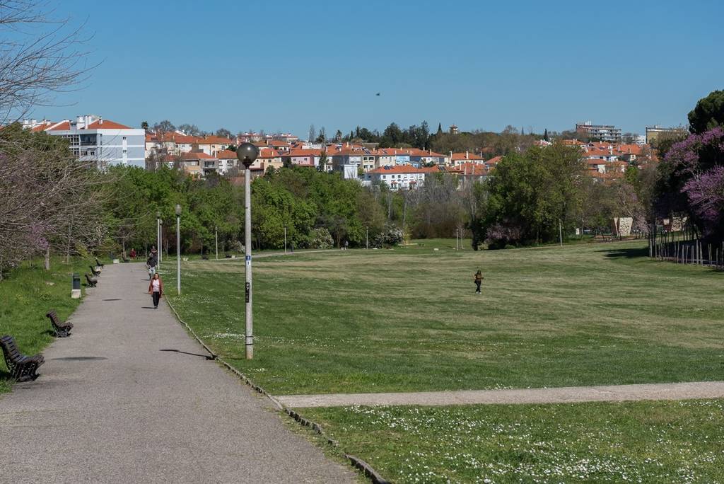 2026 World Cup: Where to Watch the Games in Lisbon (on Giant Screens ...
