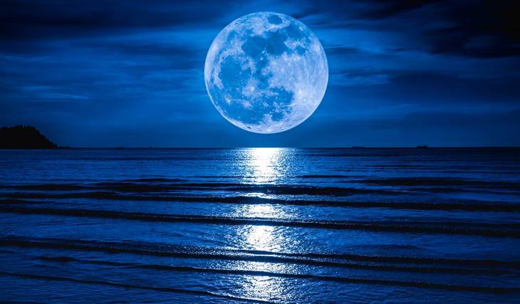 Lisboa Secreta | Your Complete Guide To Things To Do In Lisbon