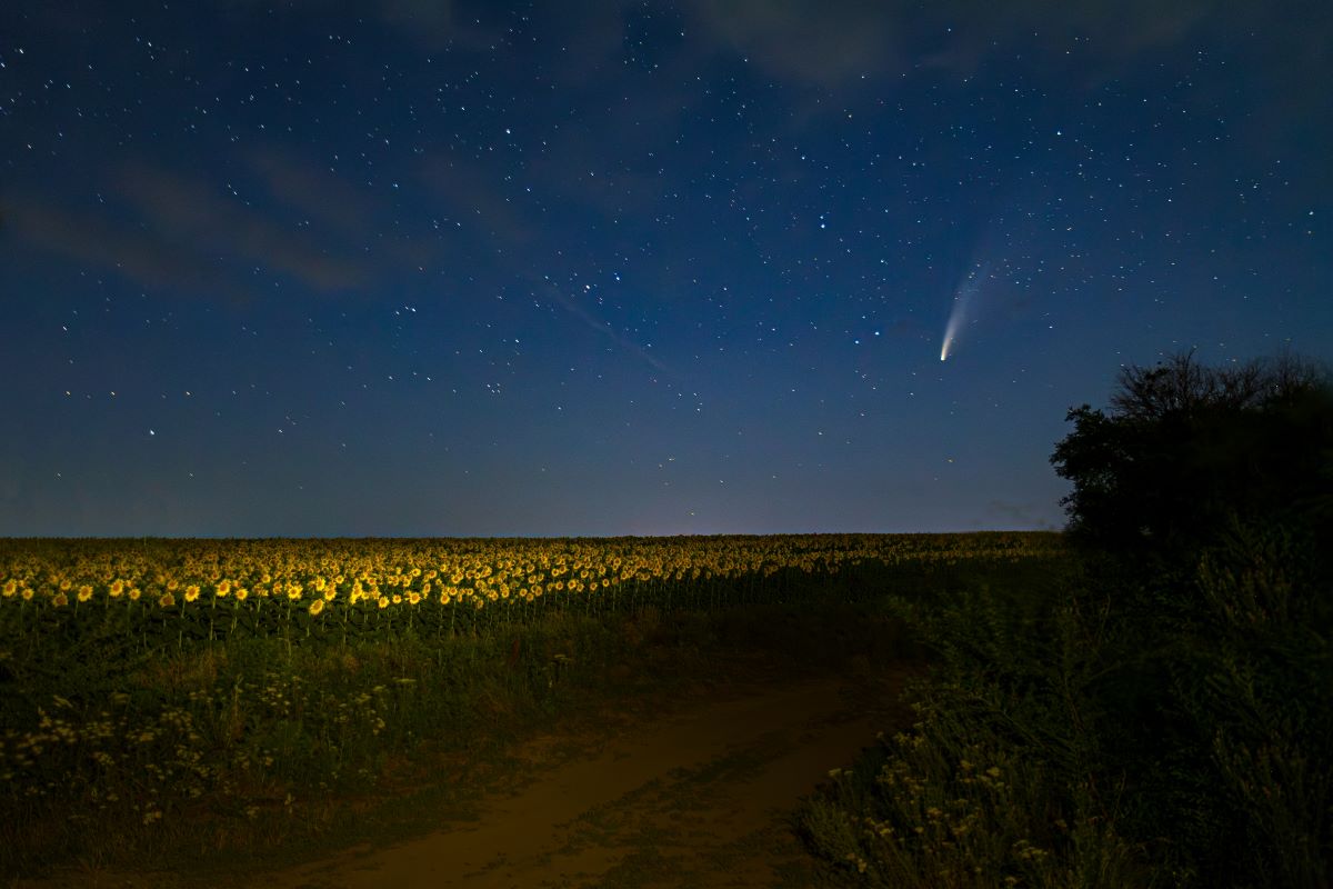"Comet Of The Century": What You Need To Know About This Phenomenon