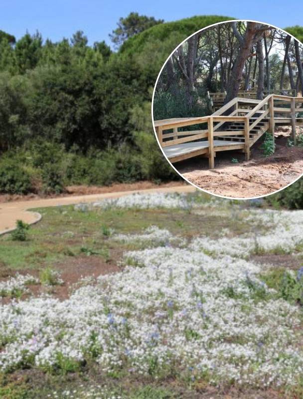 Normal em Lisboa: vem aí a sexta loja no Centro da capital