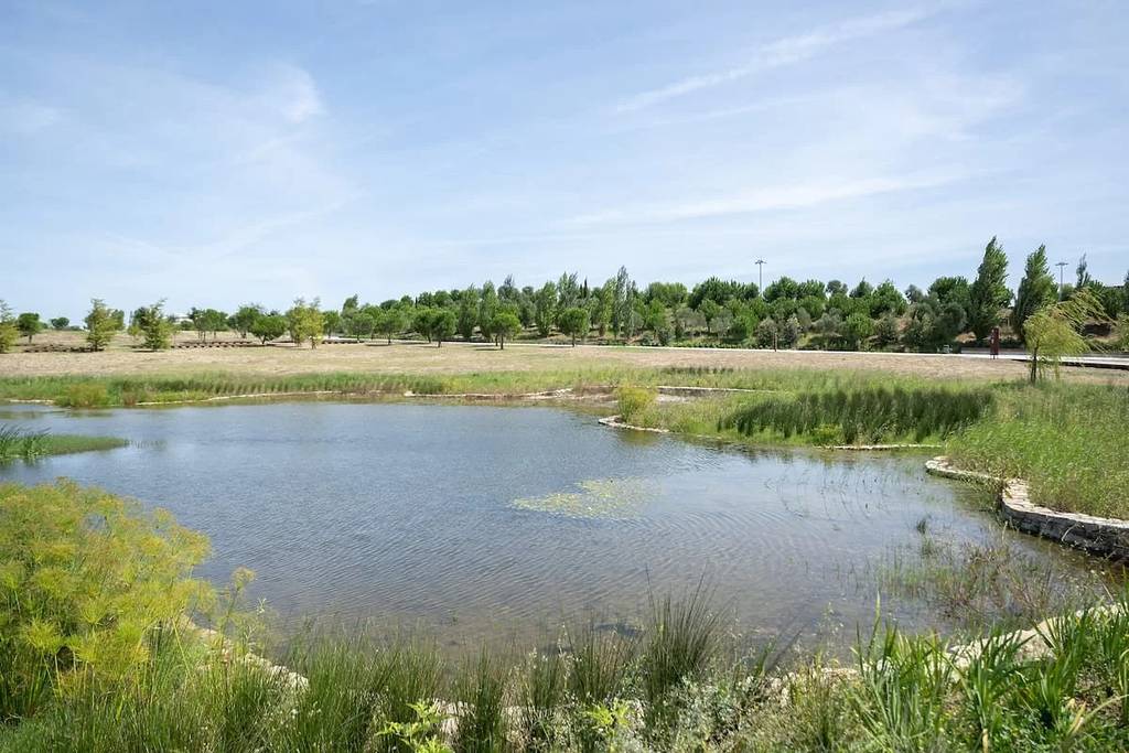El nuevo parque del noroeste de Lisboa ya ha abierto: lo que era un ...