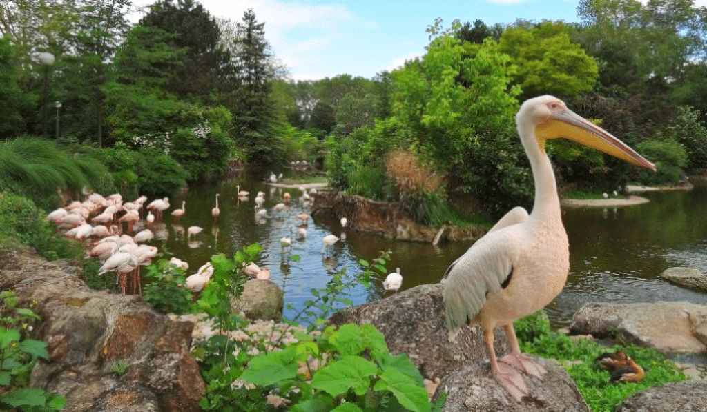 Les plus beaux parcs et jardins pour se ressourcer à Lyon
