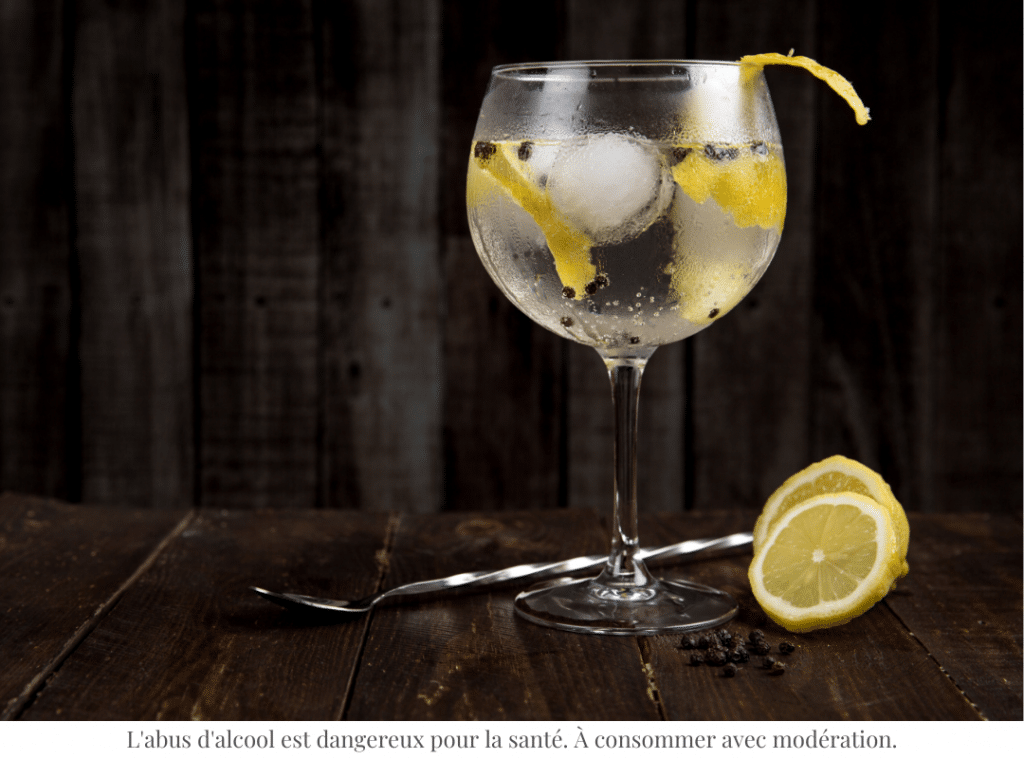 Le plus grand festival de France dédié au Gin va s'installer au Palais ...