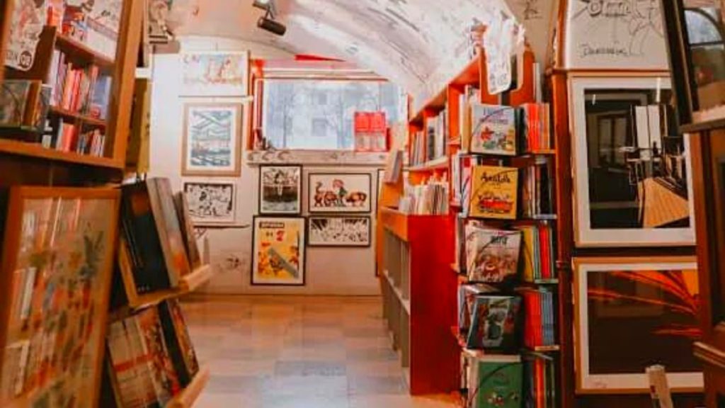 Sélection des meilleures librairies à Lyon - Lyon Secret