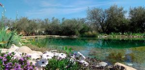 6 planes gratis para pasar el verano en Madrid - Madrid Secreto