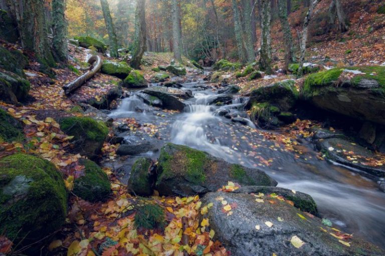 Nature In Madrid: The Most Spectacular Sites