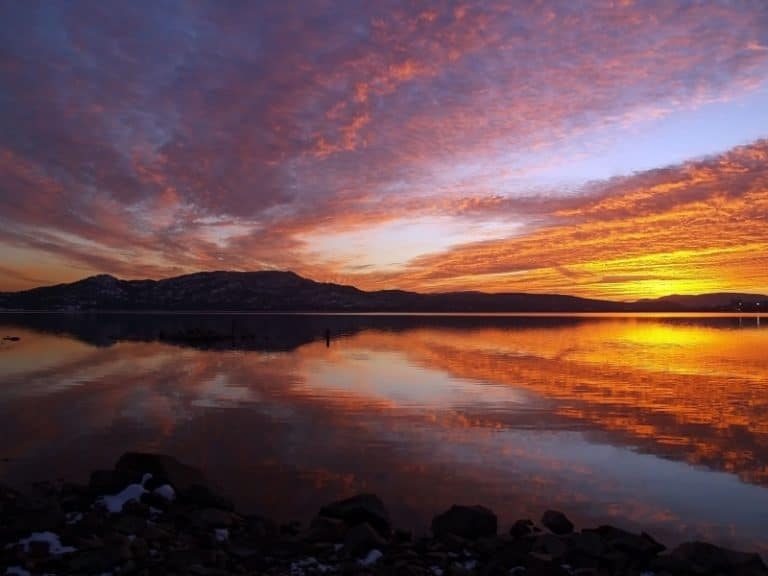 Nature In Madrid: The Most Spectacular Sites