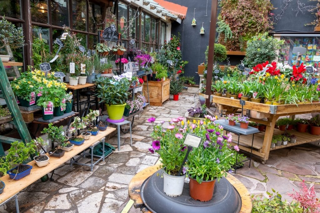 12 florists in Madrid to find the perfect flower arrangement