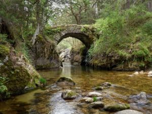 Hiking in Madrid: the 20 must-do routes.