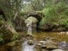 Hiking in Madrid: the 19 must-do routes.