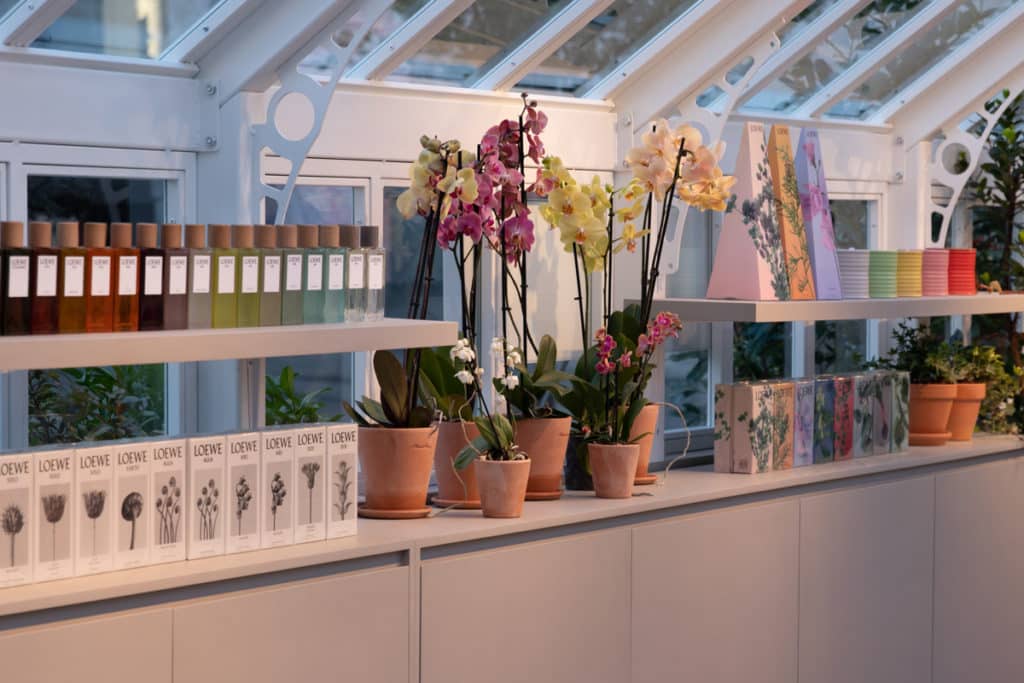 Últimos días para visitar el invernadero de LOEWE Greenhouse