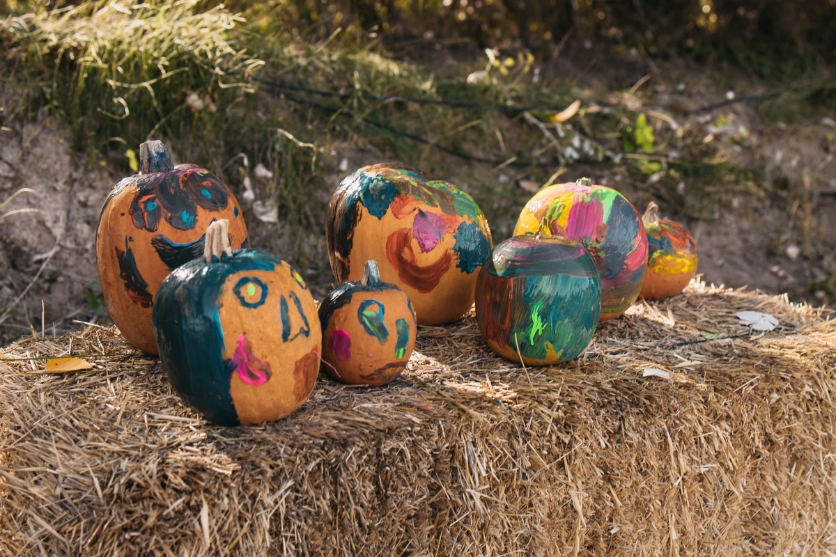 Los campos de calabaza de Madrid para hacer 'Pumpkin Patch'