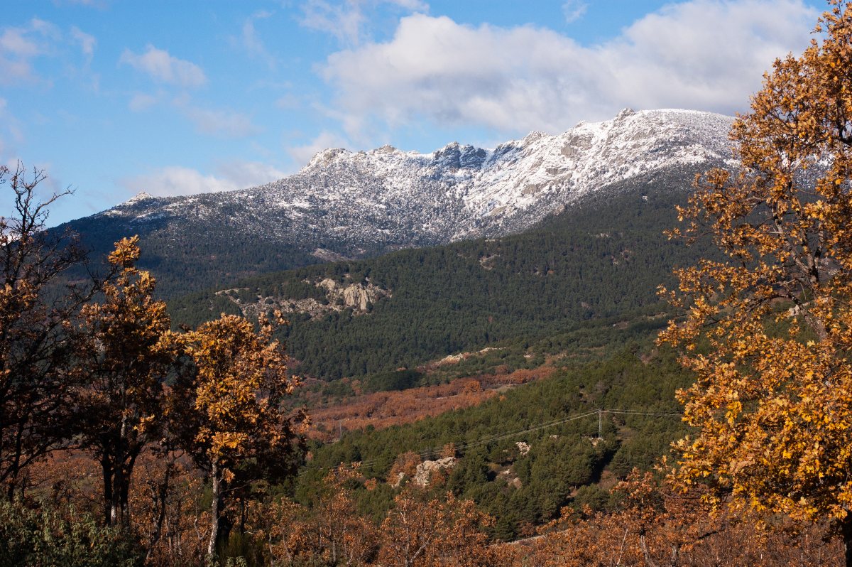 Puerto de Navacerrada: 4 rutas para conocer la sierra del Guadarrama