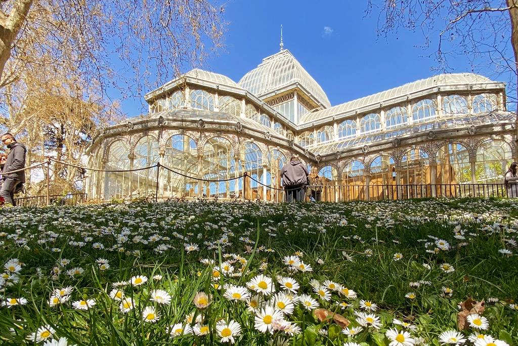 Floral Calendar: Where And When To See Flowers In Madrid