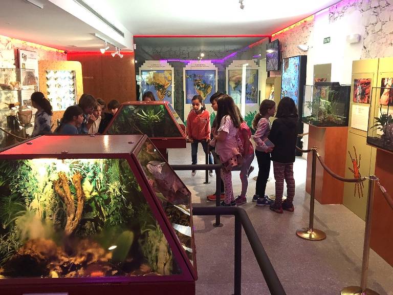 InsectPark: The Original Madrid Museum That Is Unique In Europe