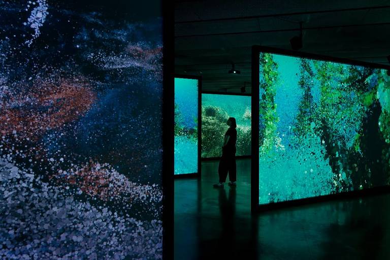 16 immersive experiences to enjoy in Madrid