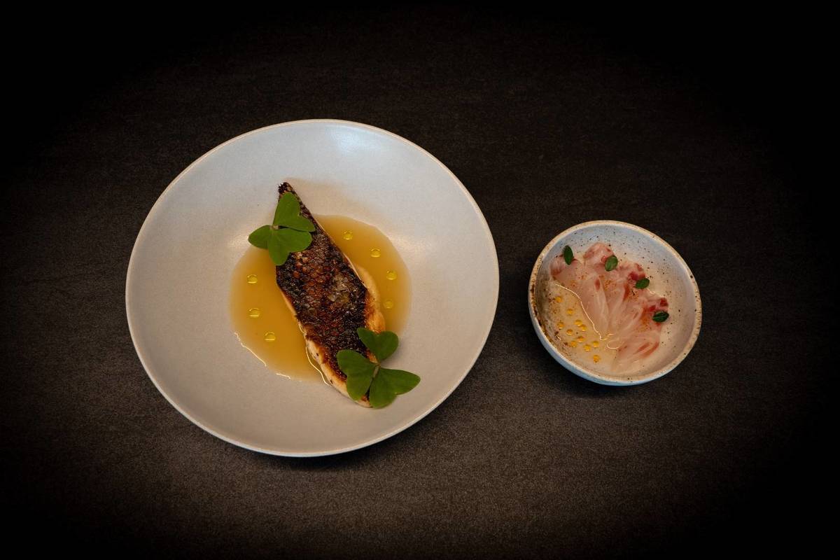 Tienen 19 y 21 años y ya están en la Guía Michelin: el restaurante que ...