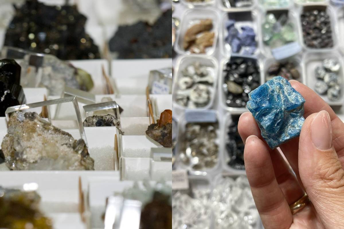 Gems, minerals and fossils: the secret flea market that is held only ...