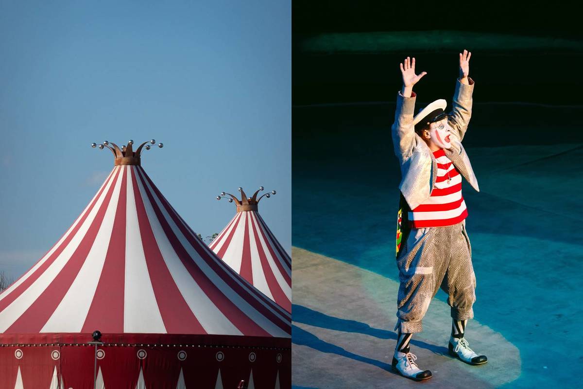 Un grand chapiteau de cirque s'installe dans un quartier de Madrid : 3 ...