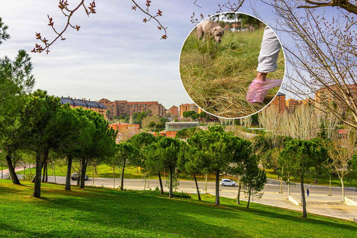 Adiós a las excusas: este municipio de Madrid ya sanciona a quienes no ...