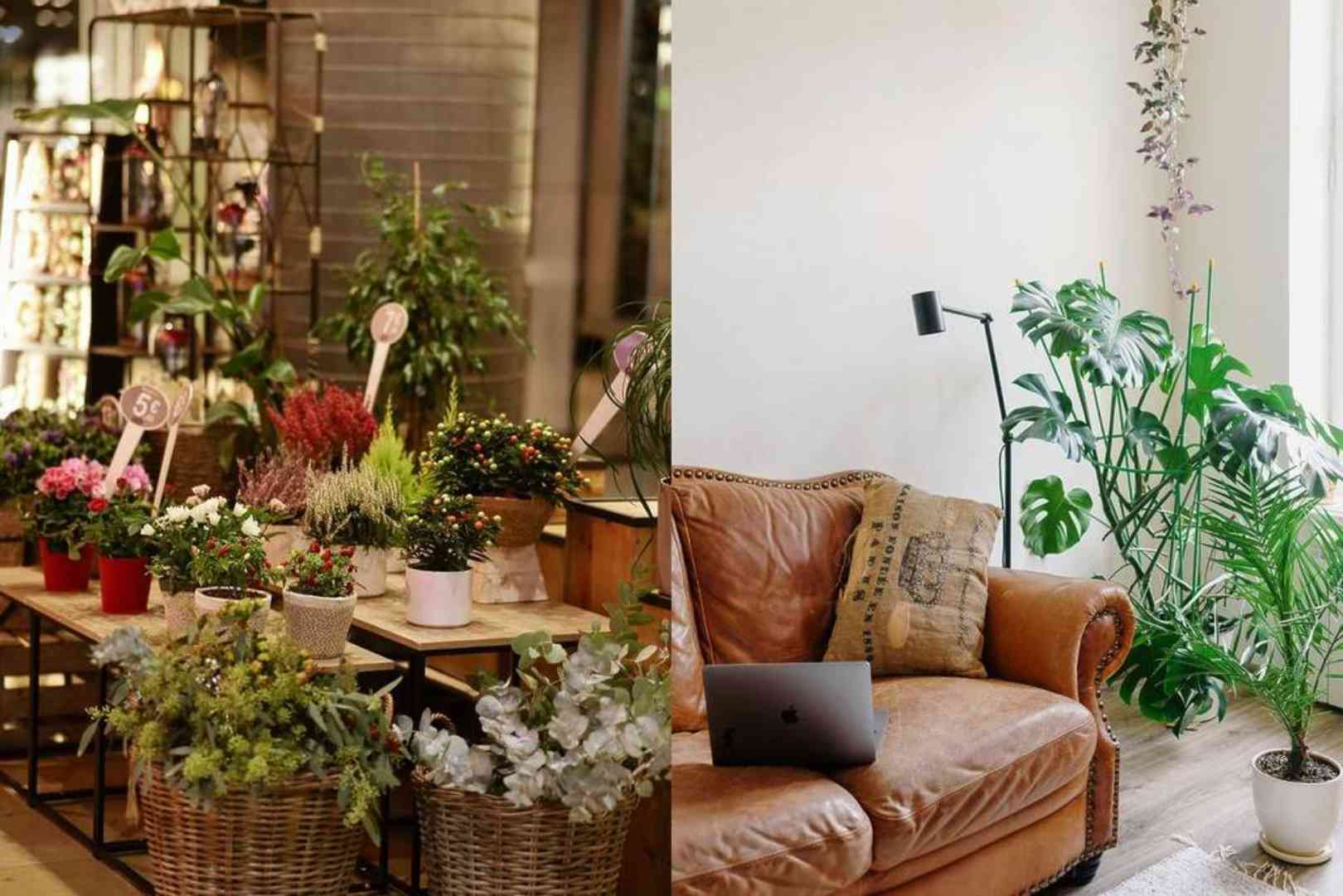 The plant event is back in Madrid, and long lines are expected starting ...