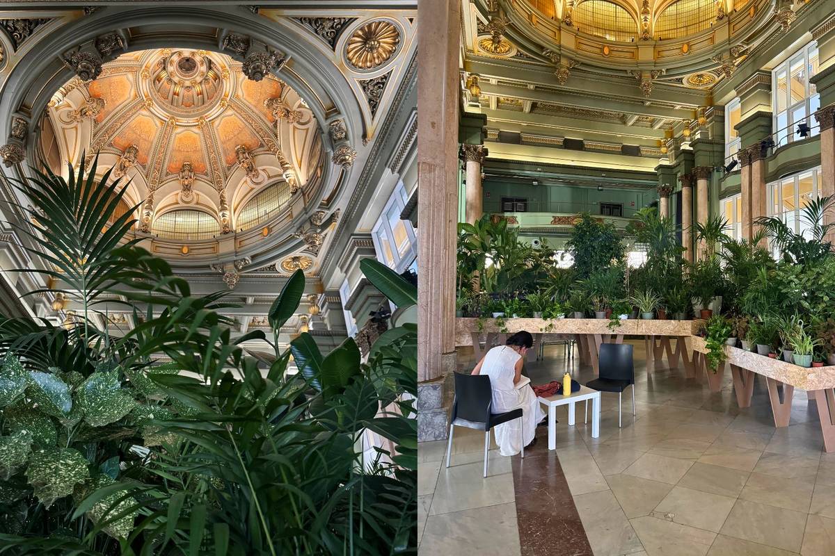 Juegos de mesa, lectura y aire fresco: el refugio climático del Círculo ...