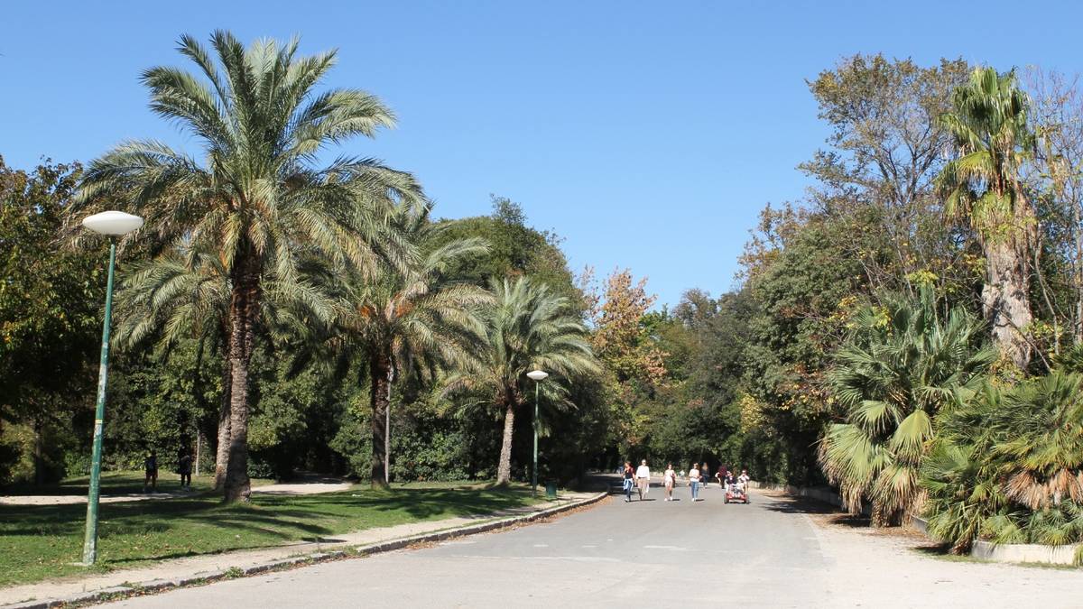 Marseille's Most Beautiful Parks And Gardens For A Lovely Stroll