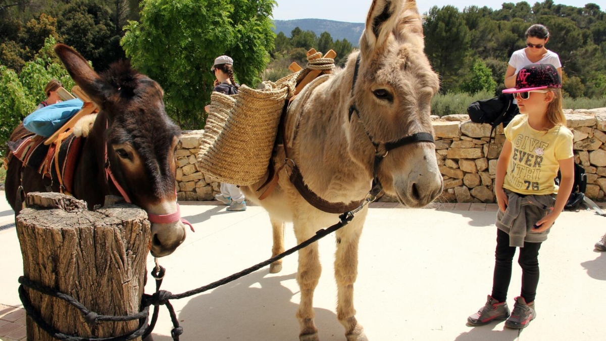 This Donkey Ride Near Marseille Will Please Your Children