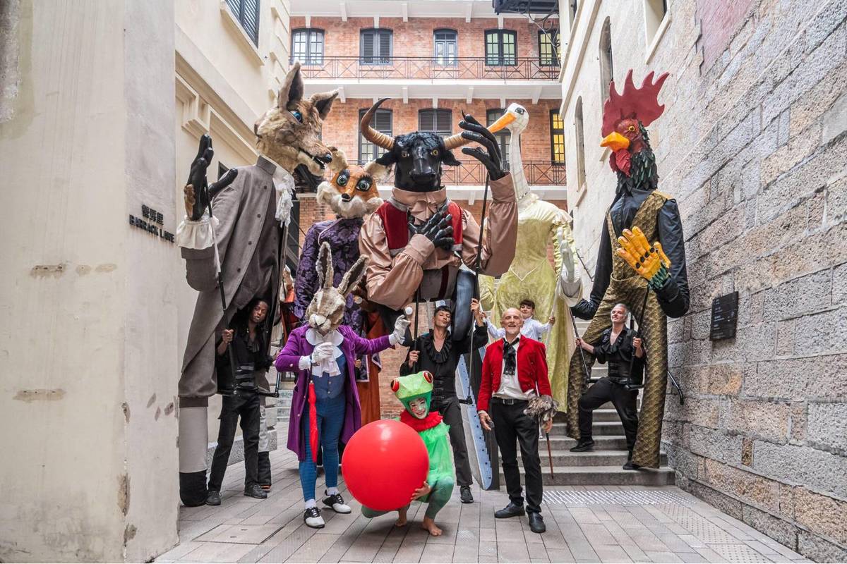 Festo Pitcho: the festival your kids will never forget!