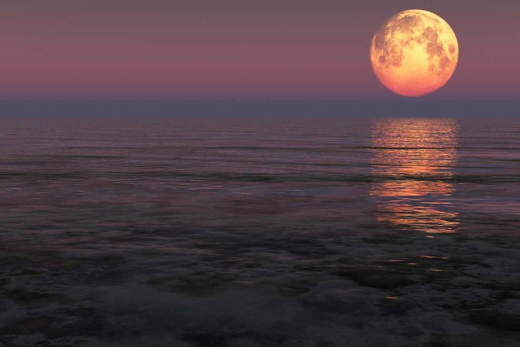 La Super Lune du Castor, la plus grosse et brillante de 2025, illumine ...