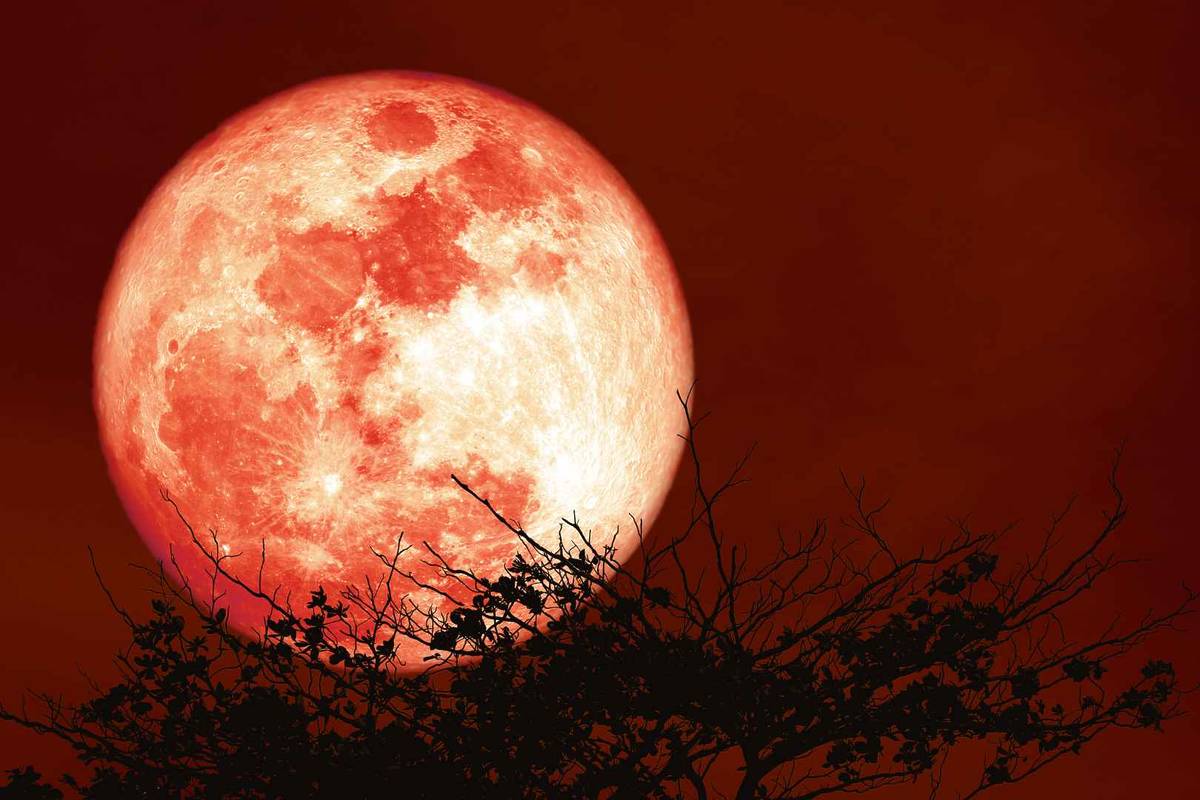 The moon turns red during a spectacular lunar eclipse: what is this ...