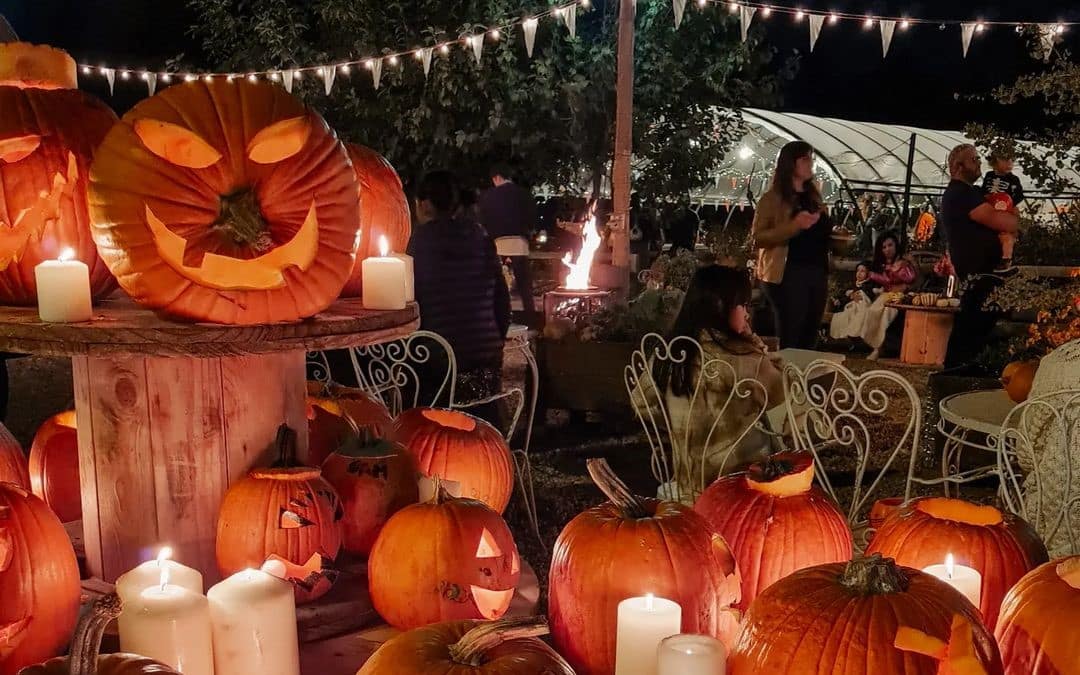 25 things to do in Milan in October: events and ideas for the weekend