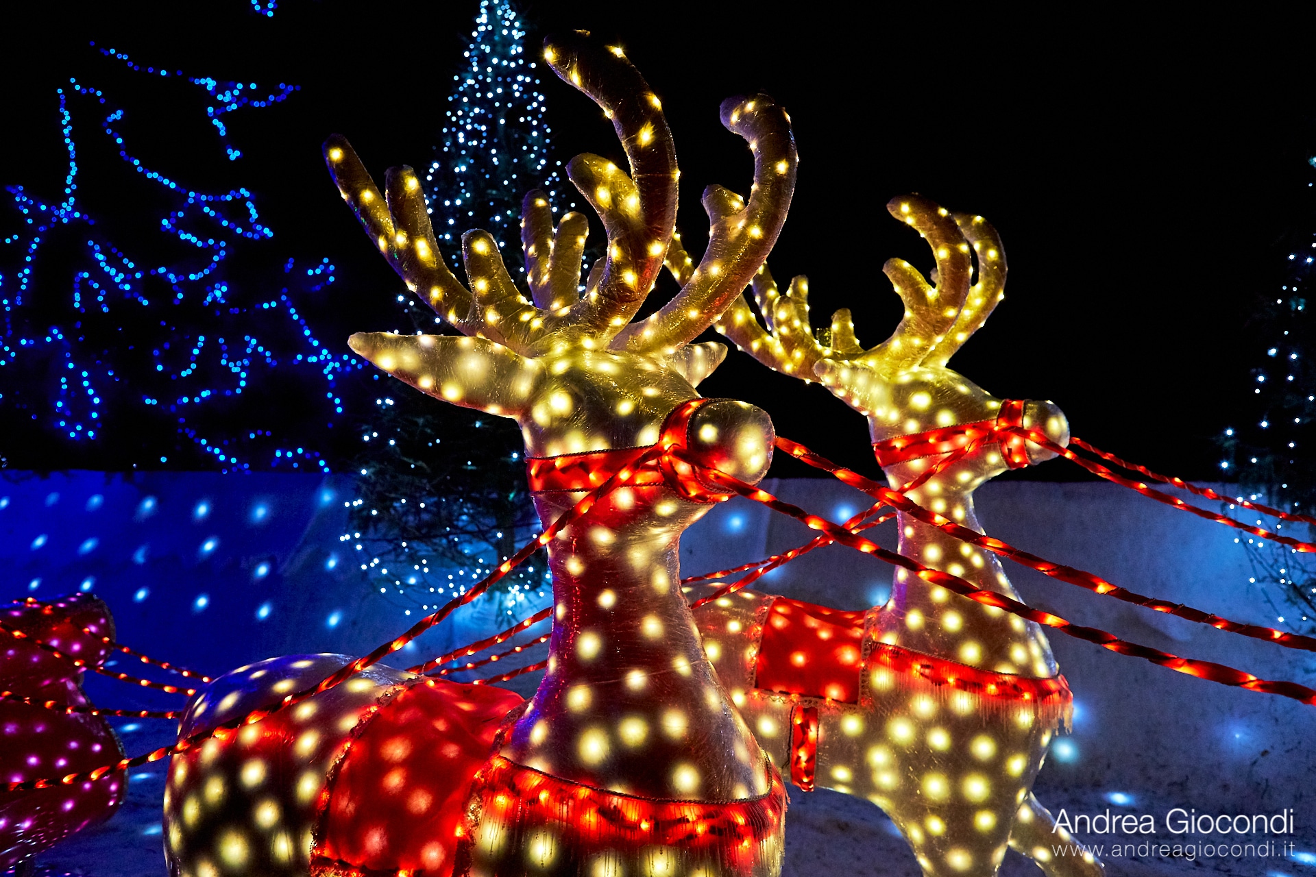 Tornano le lucine di Natale di Leggiuno: ecco come accedere all'evento ...