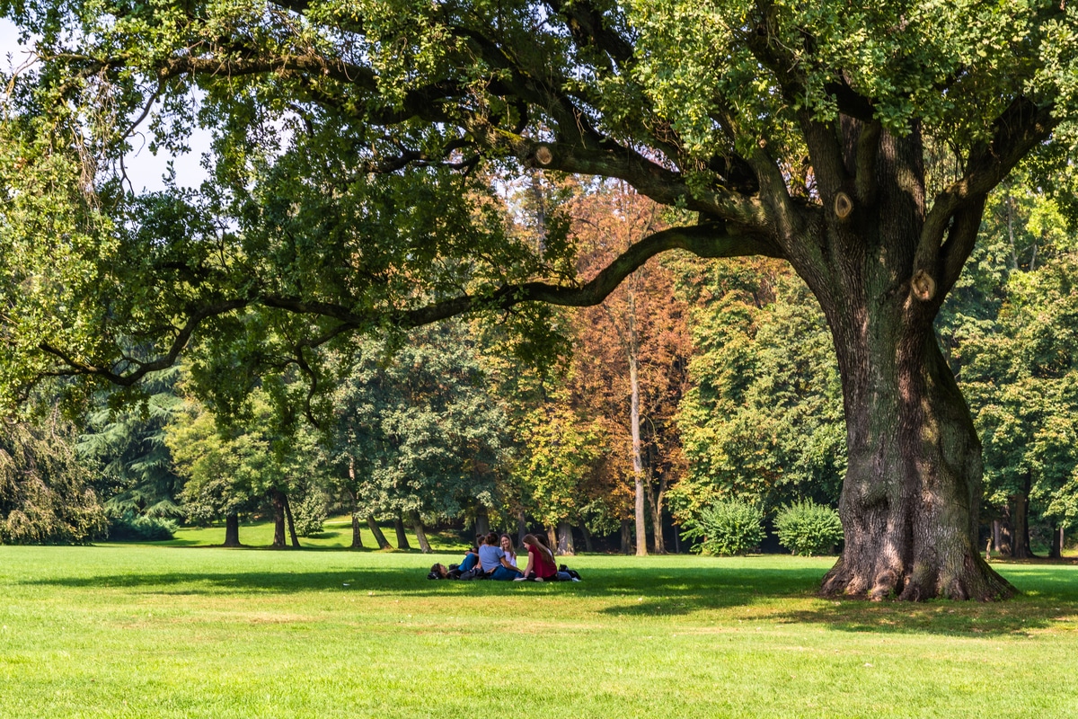 Picnic d'Italia: al via lo street food festival al Parco di Monza