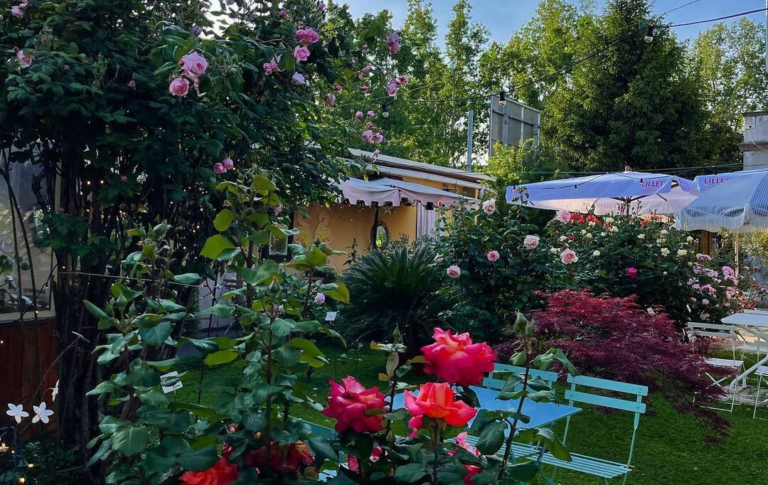 Aperitivo in Milan: 28 beautiful places you absolutely must try