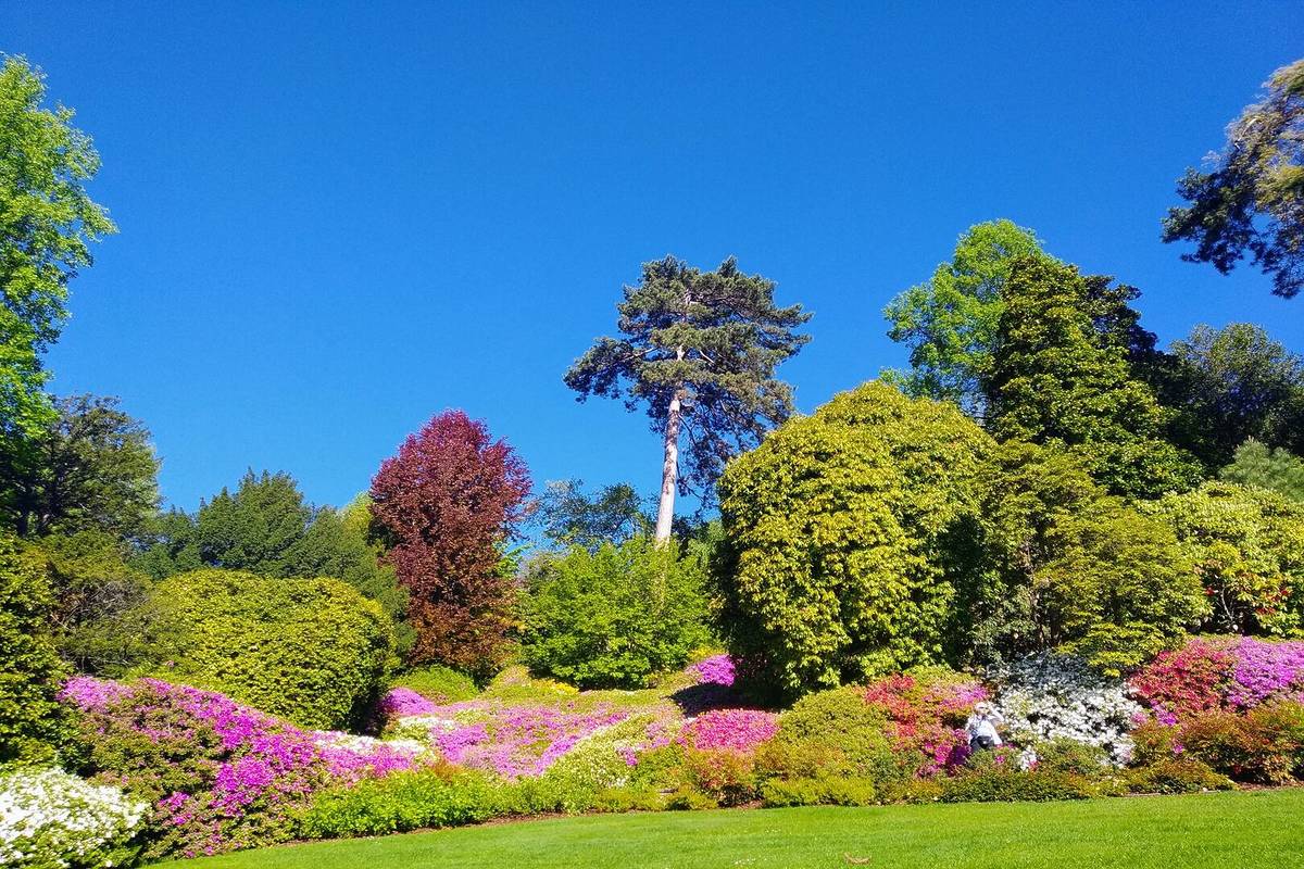 10 jardins de fleurs à visiter à l'approche de la saison chaude